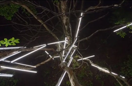 Volcano Choir estrena "Byegone" - Indie Rocks!