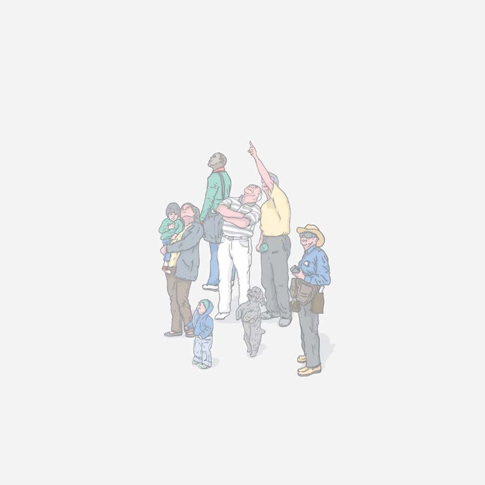 Little Jesus: Intenso, emotivo y gran debut - Indie Rocks!