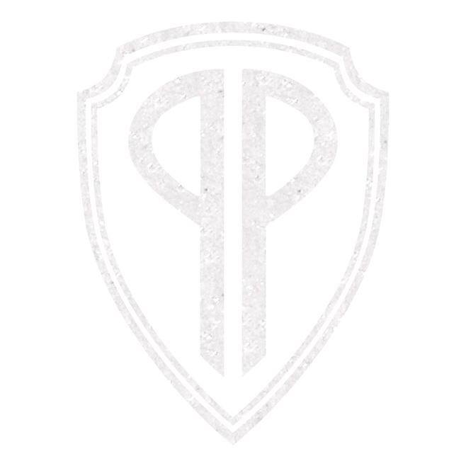 Escucha Completo El Nuevo álbum De Perfect Pussy Indie Rocks