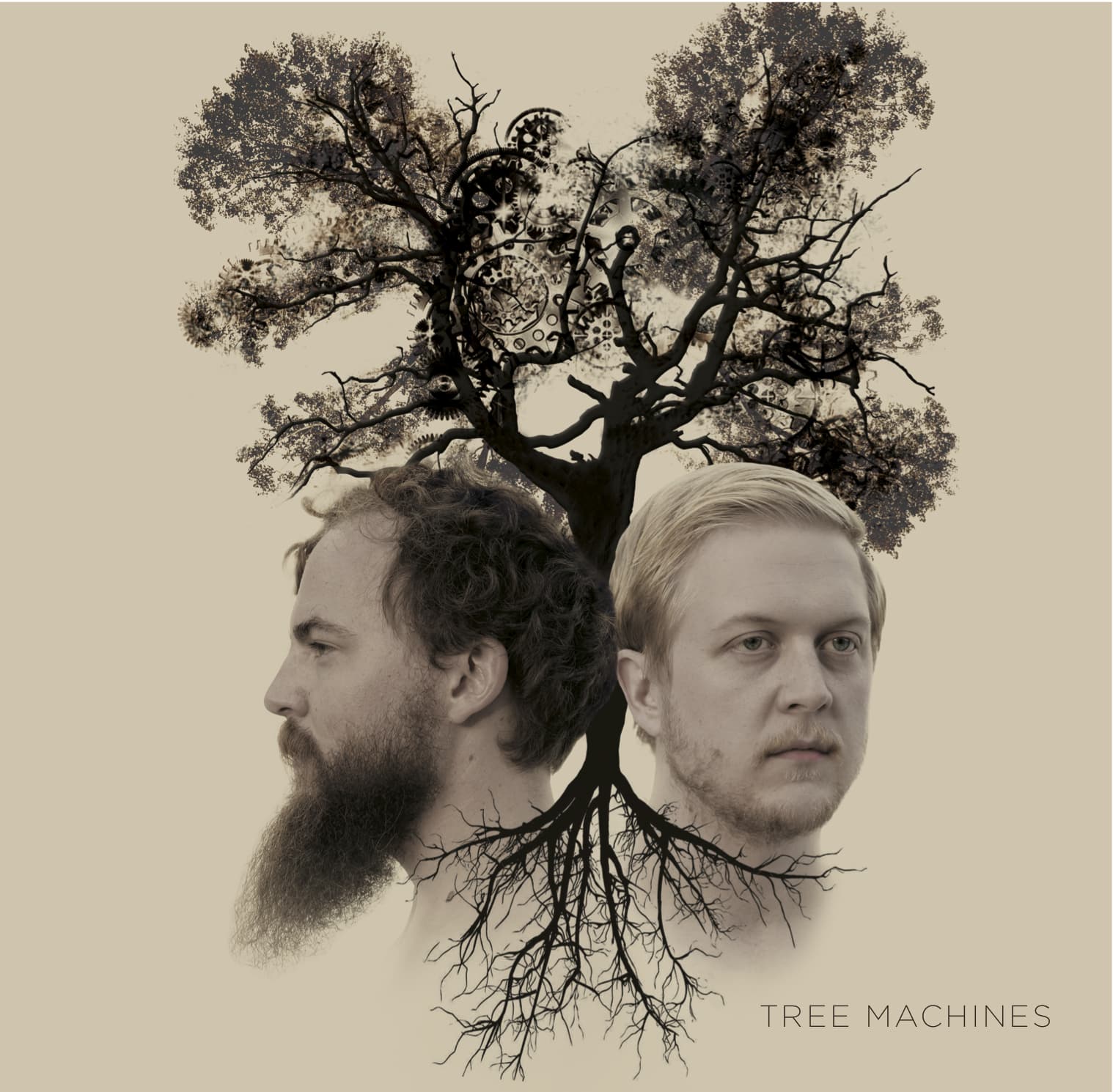Tree Machines: indie rock para los desorientados - Indie Rocks!