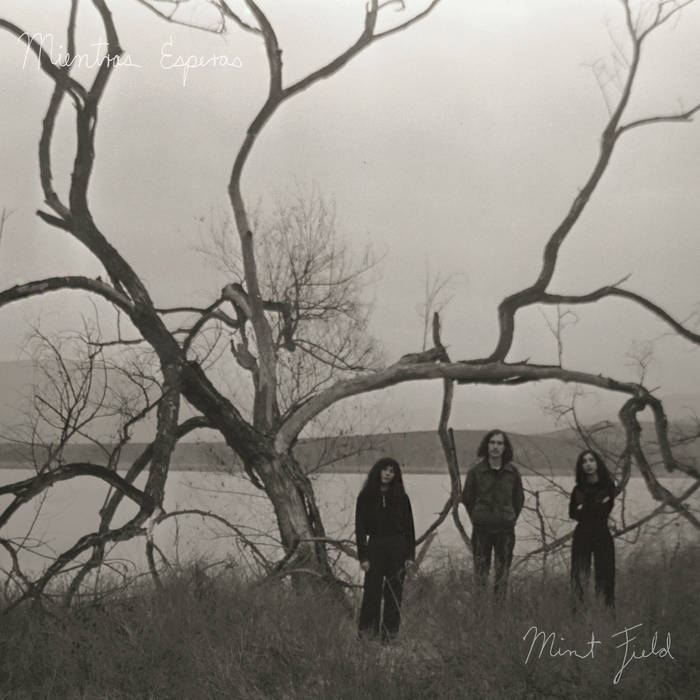 Mint Field — Mientras esperas (EP) - Indie Rocks!