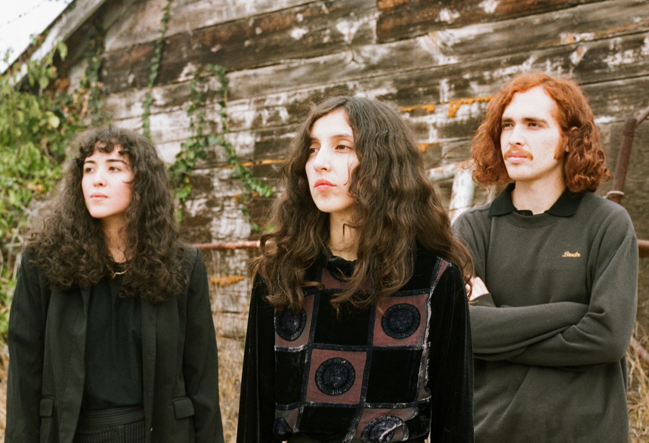 Entrevista con Mint Field - Indie Rocks!