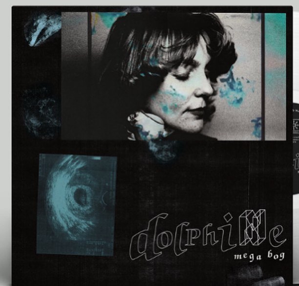 Mega Bog — Dolphine - Indie Rocks!