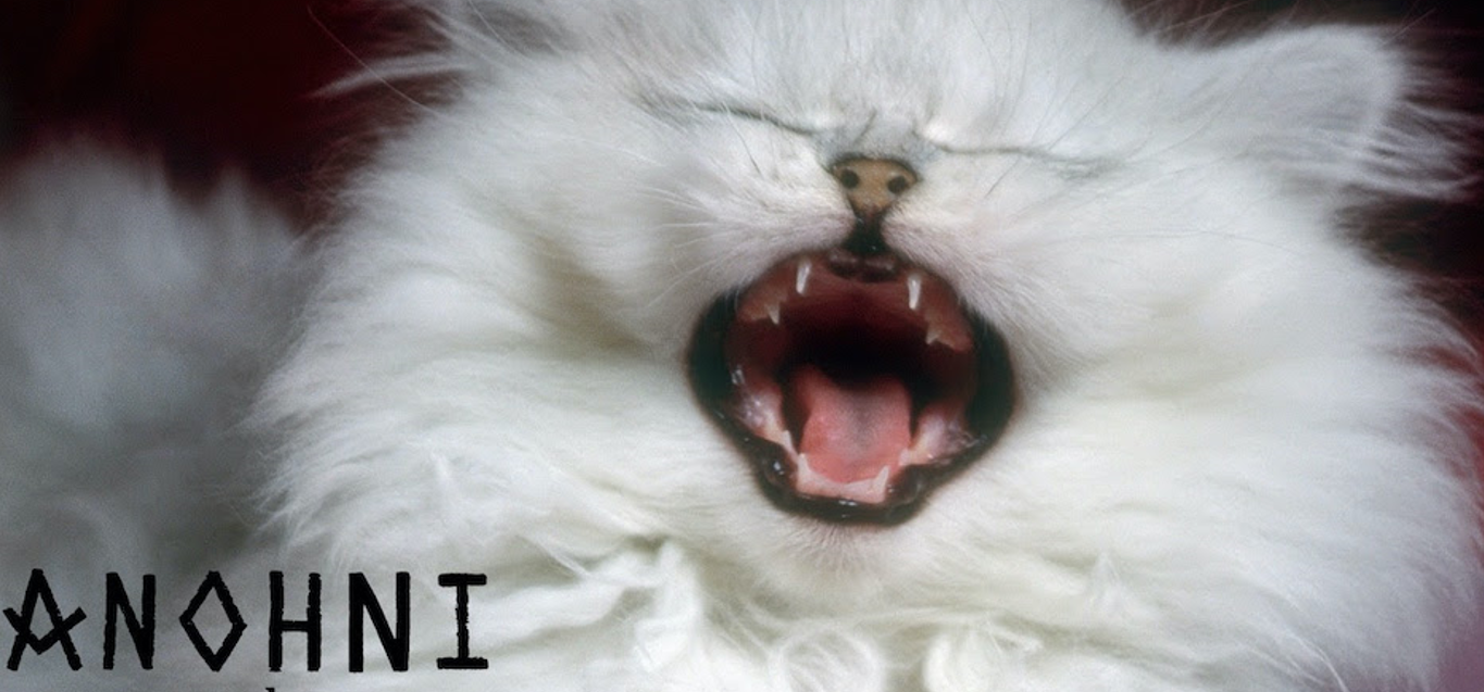 ANOHNI and The Johnsons presenta “Breaking”