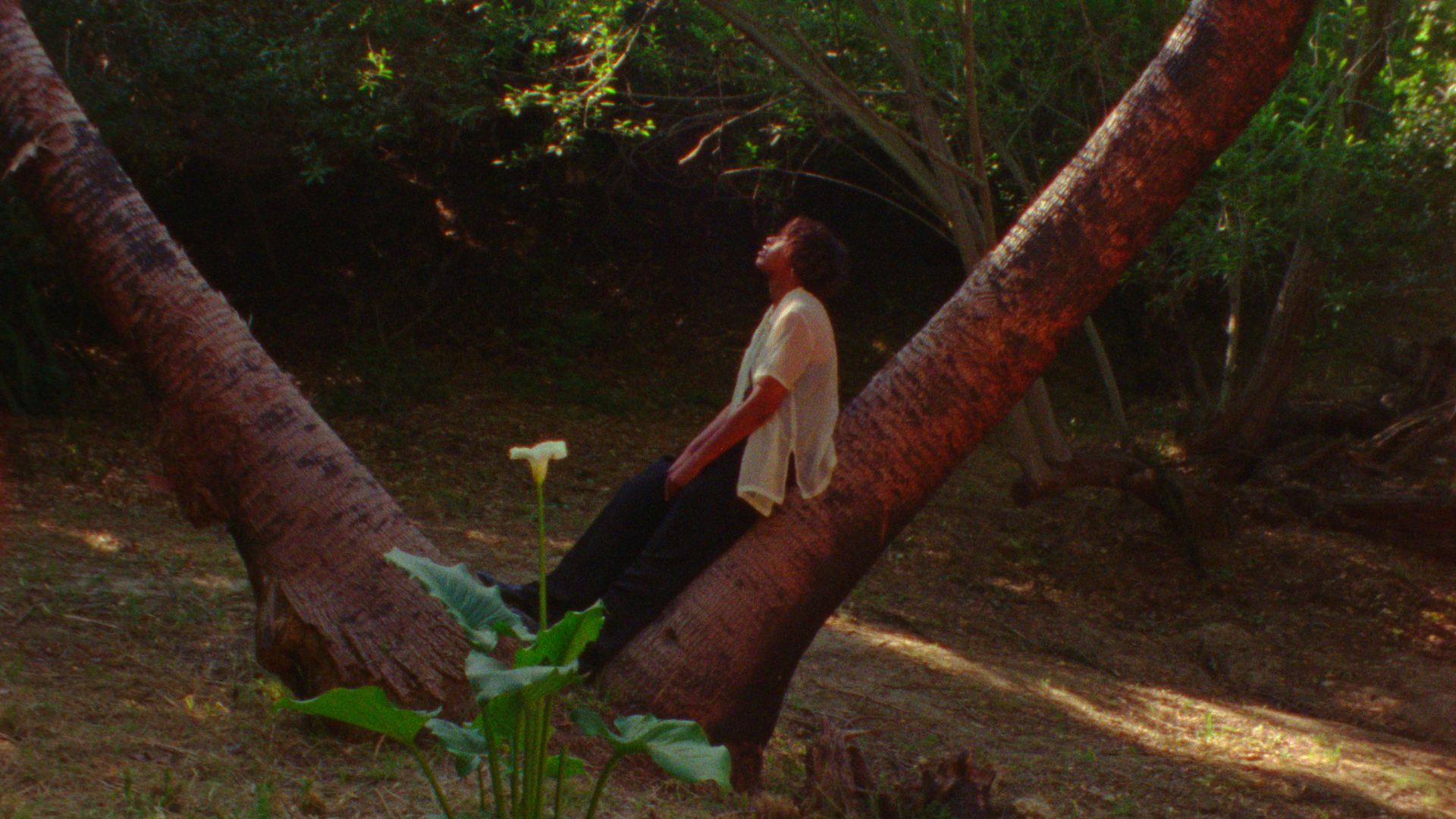 Orion Sun estrena “Mary Jane”